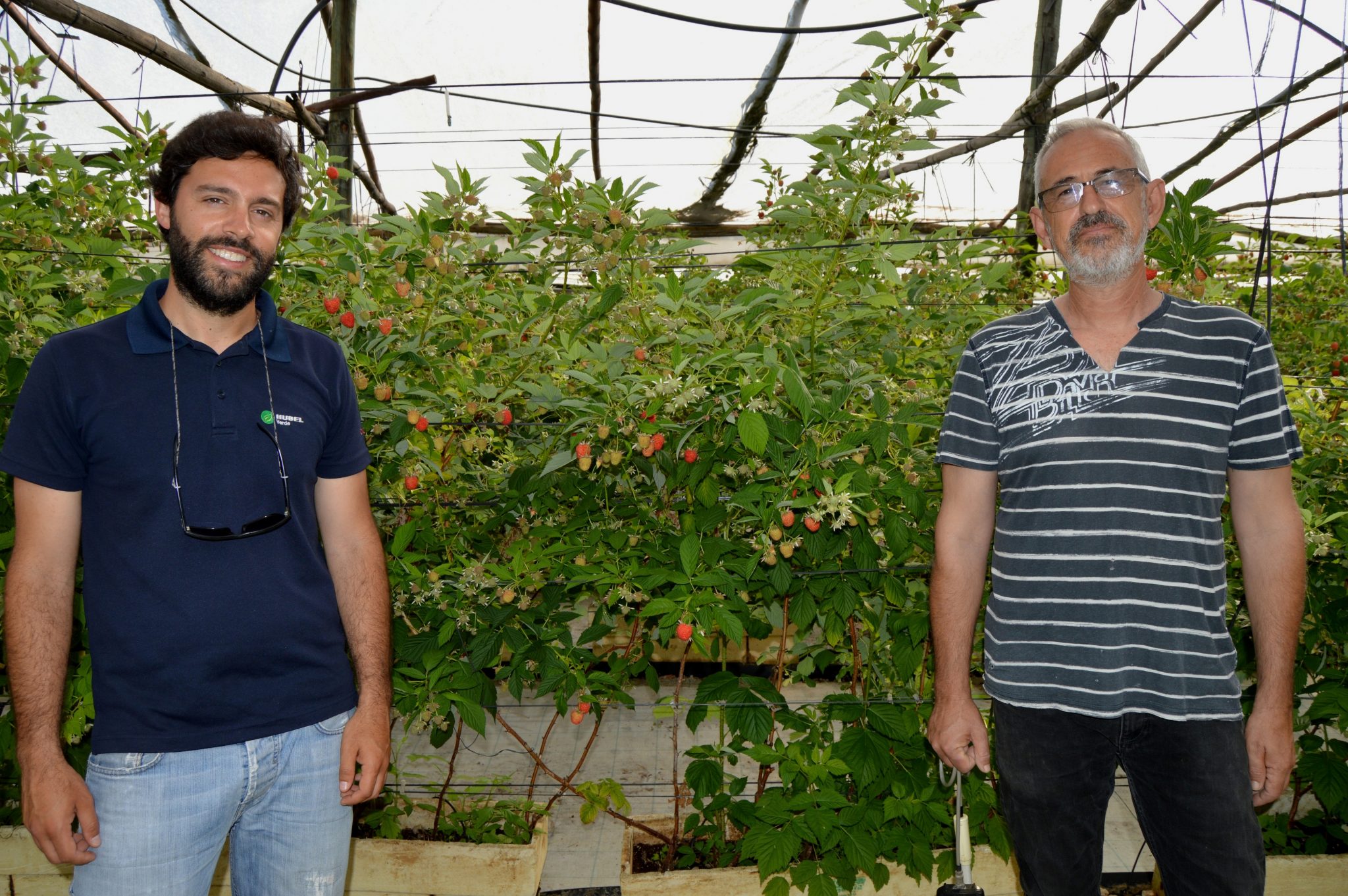 Mais do que produtos, vendemos know-how - APHorticultura